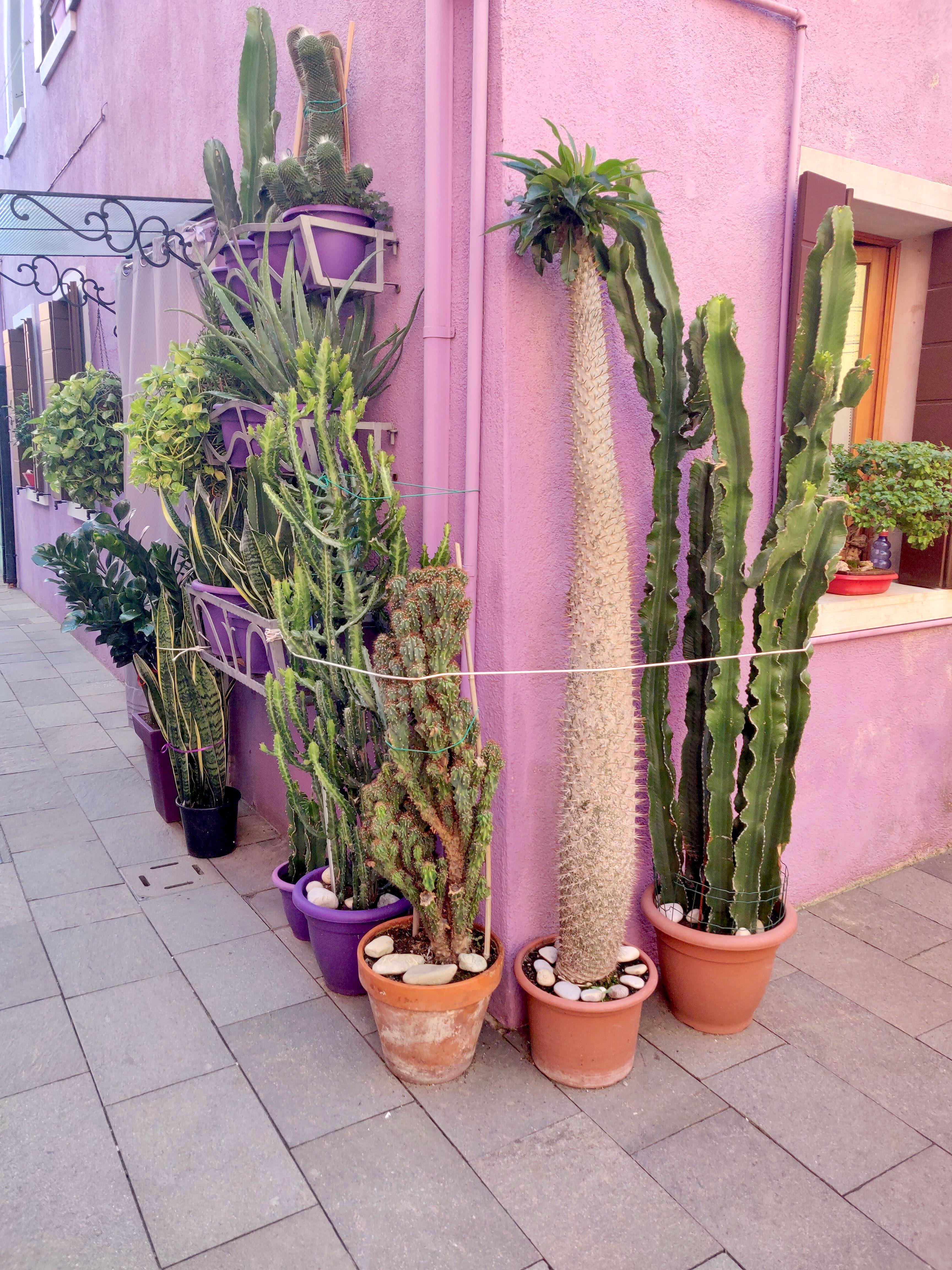 Research – Sian Gooding